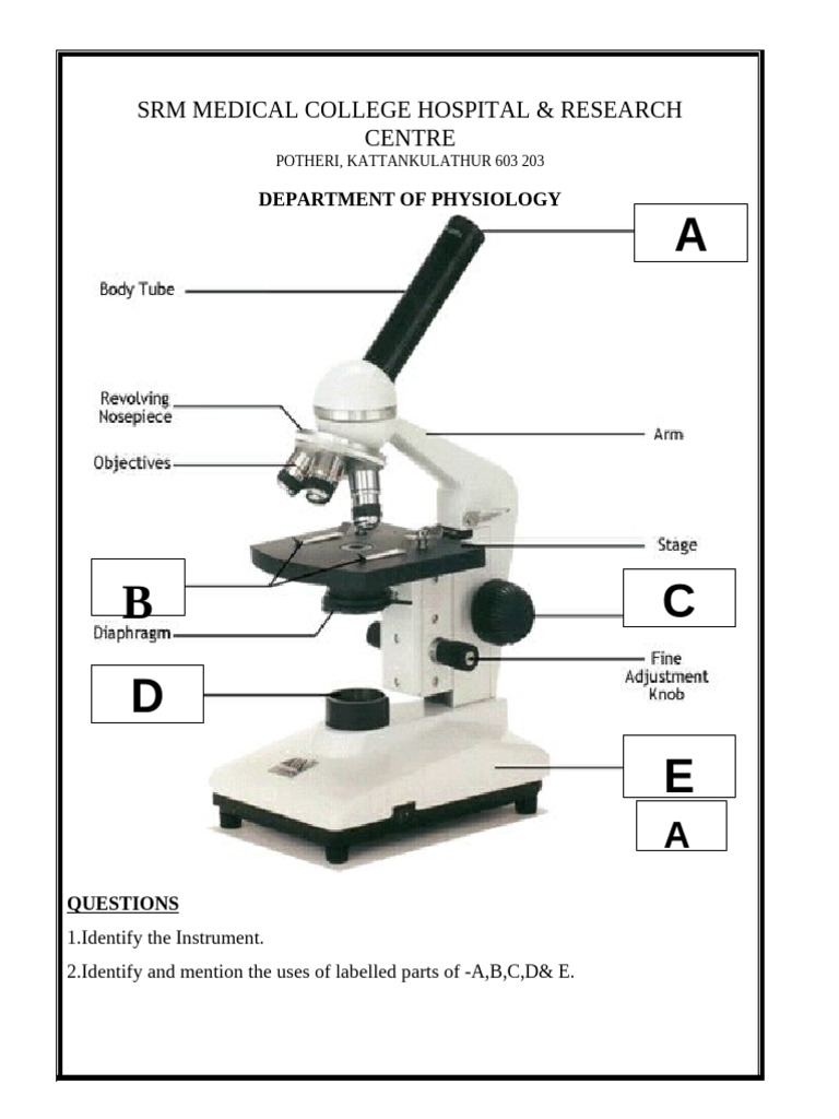 BOT - SEM - I Spotters with pictures1617 | PDF | Hemoglobin | Coagulation