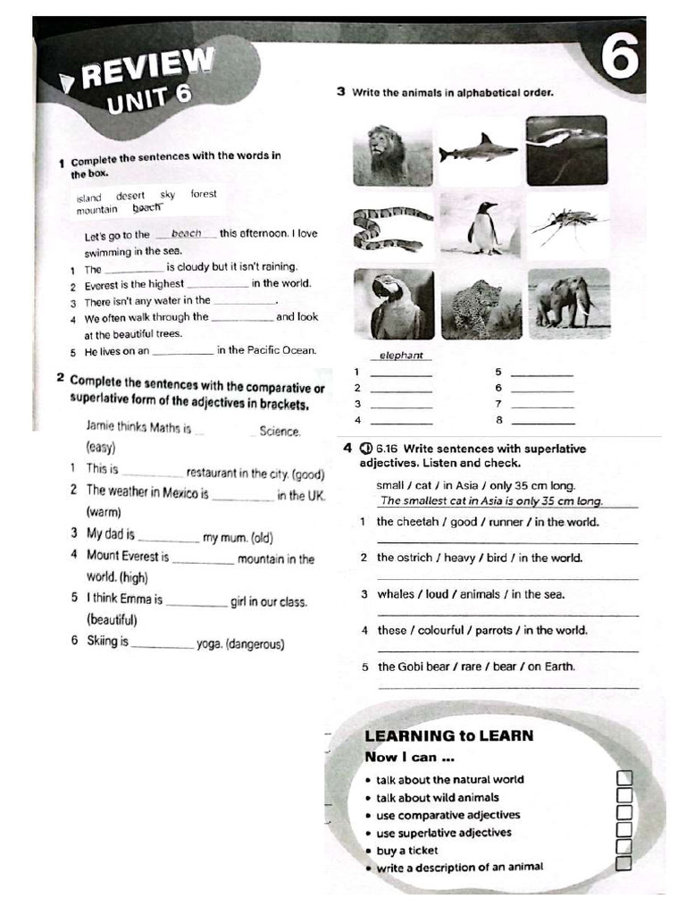 Revision - Unit 2 | PDF