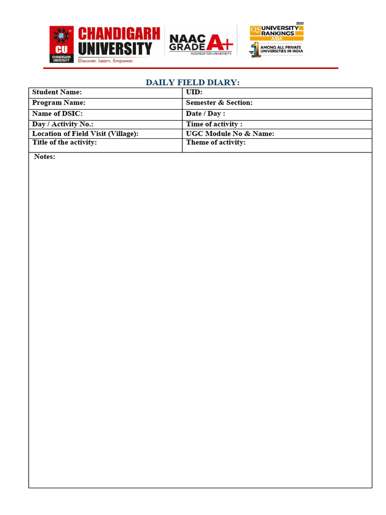 Daily Diary Format - SI 2025-3 | PDF