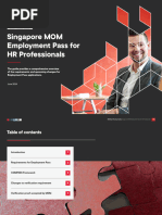 MOM - Employment - S Pass Self Assessment Tool (SAT) | PDF | Employment