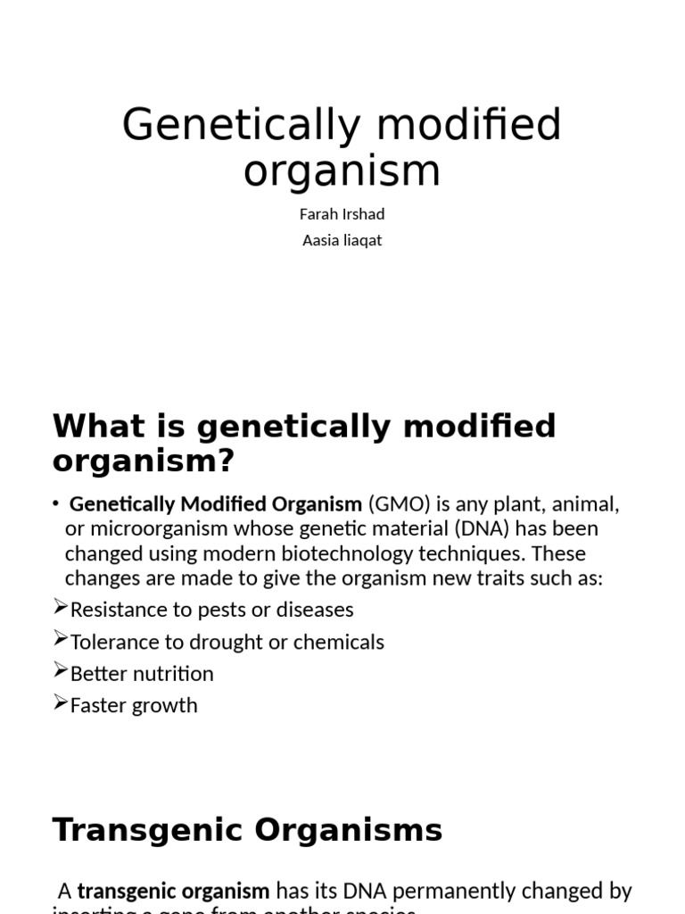 Understanding Transgenic Organisms | PDF | Genetically Modified ...