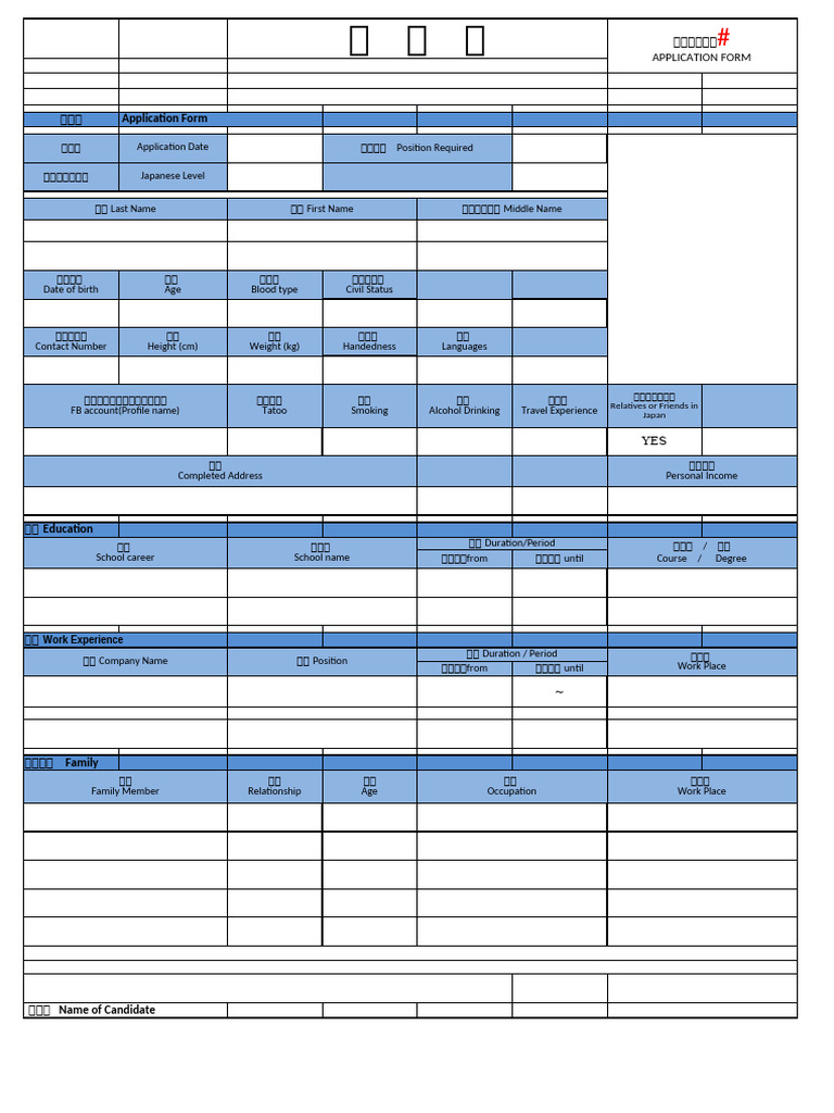 JP - CV Exel Form | PDF
