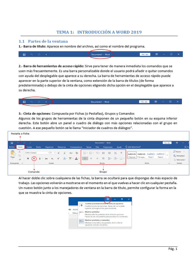 Tema1 Introduccion A Word 2019 | PDF | Botón (Computación) | Microsoft Word