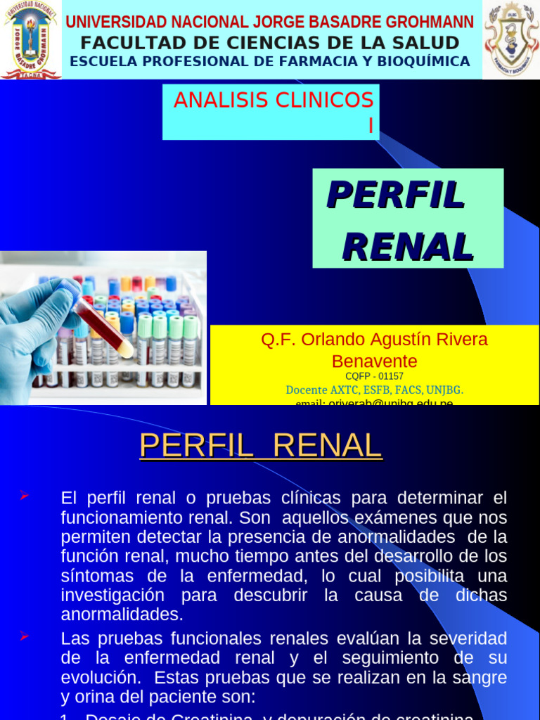 Perfil Renal 2018 | PDF | Riñón | Sistema urinario