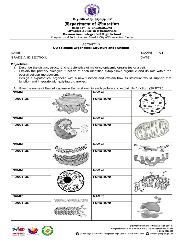 Pt 3 Cytoplasmic Organelles Structure and Function | PDF | Lysosome ...