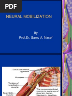 Butler Neural Mobilization | PDF | Nervous System | Nerve