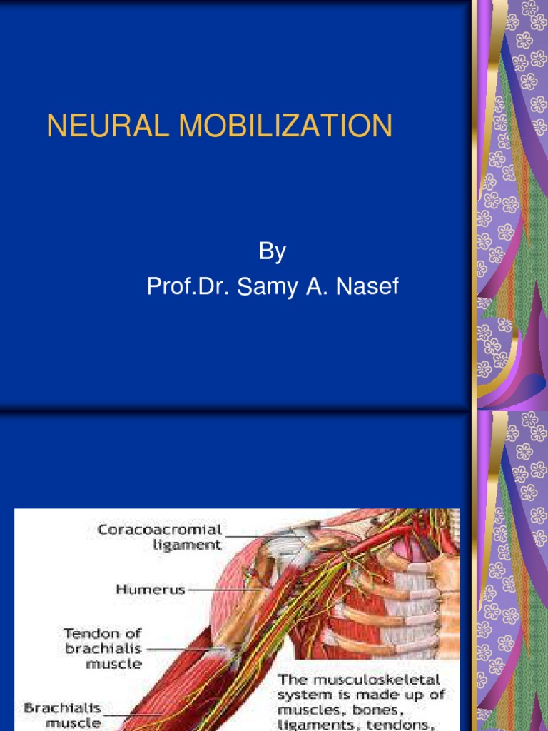Understanding Neural Mobilization Techniques | PDF | Anatomical Terms ...