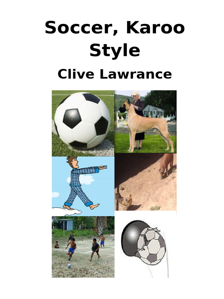 Soccer Karoo Style Learner | PDF | Poetry
