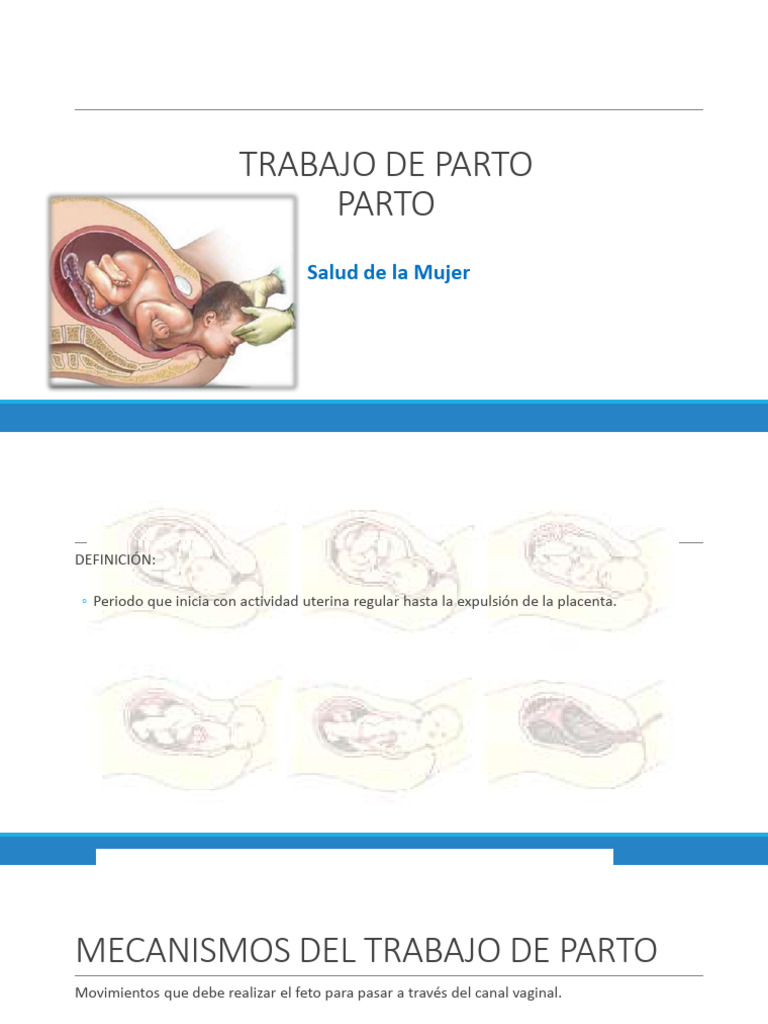 Mecanismos y Fases del Trabajo de Parto | PDF | Parto | Reproducción humana