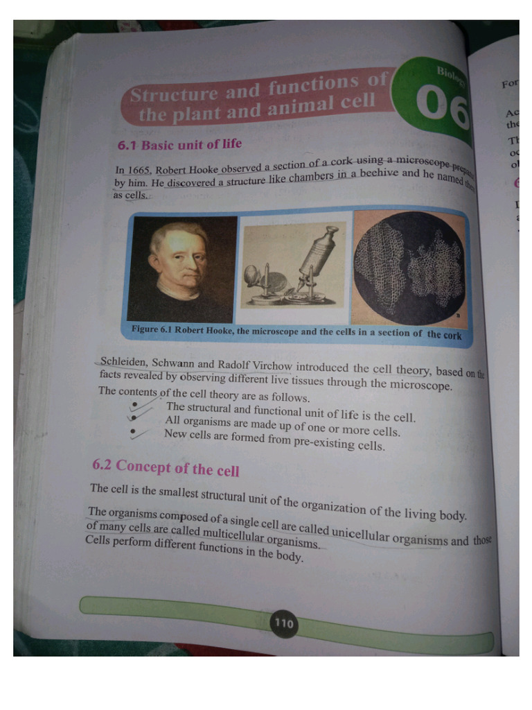 Science Lesson 6 | PDF