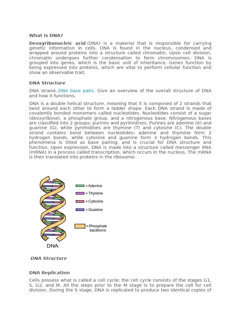 DNA Definition, Characteristics & Sequencing | PDF | Dna | Base Pair