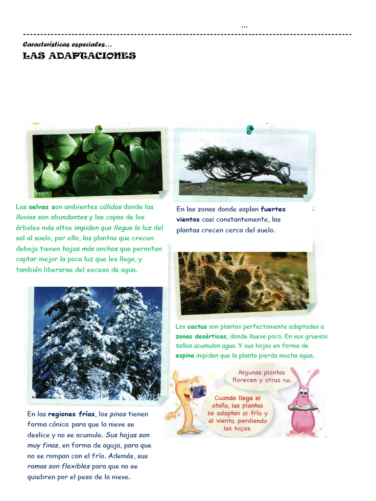 Naturales 4° Grado - Unidad 3 - 3° Parte | PDF | Hongo | Molde