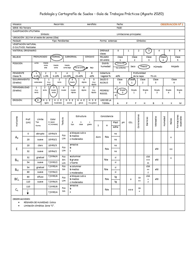 Fichas Edafológicas - Pedología y Cartografia de Suelos - 2020 | PDF ...