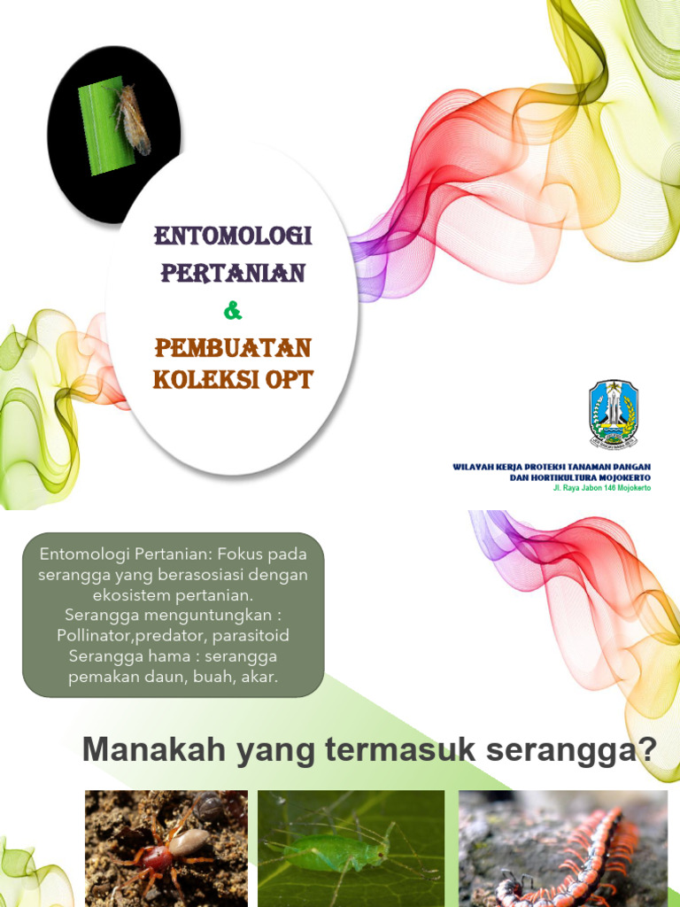 Entomologi Pertanian dan Koleksi OPT | PDF
