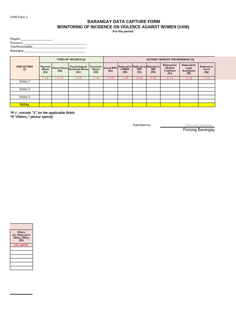 VAW Monitoring Data Capture Form | PDF