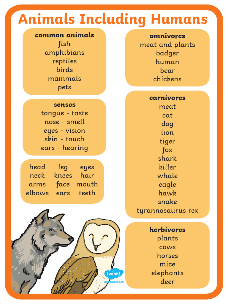 Year 1 Animals Including Humans Scientific Vocabulary Poster | PDF