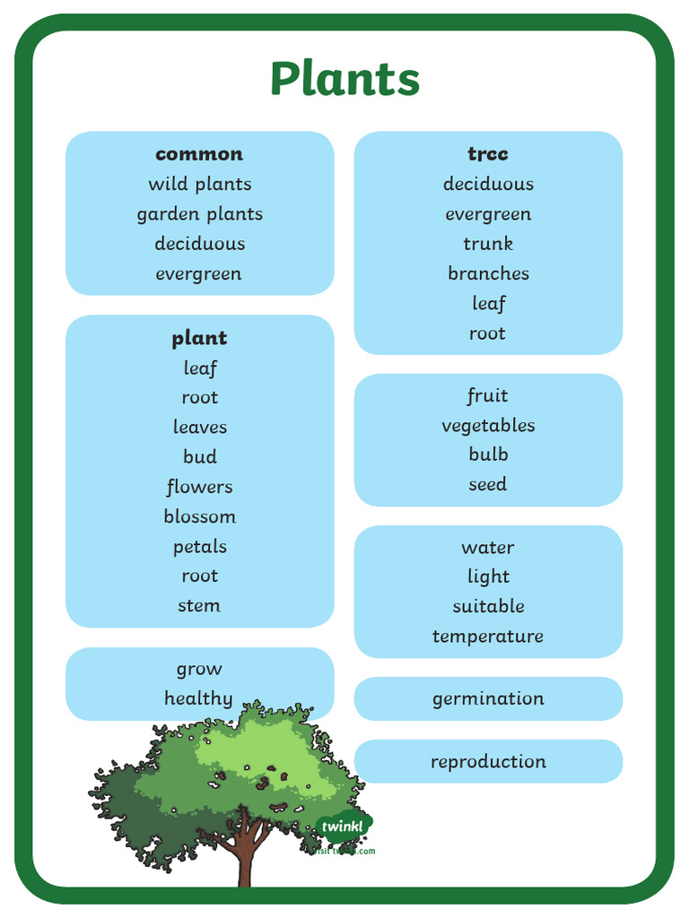 Year 2 Plants Scientific Vocabulary Poster | PDF