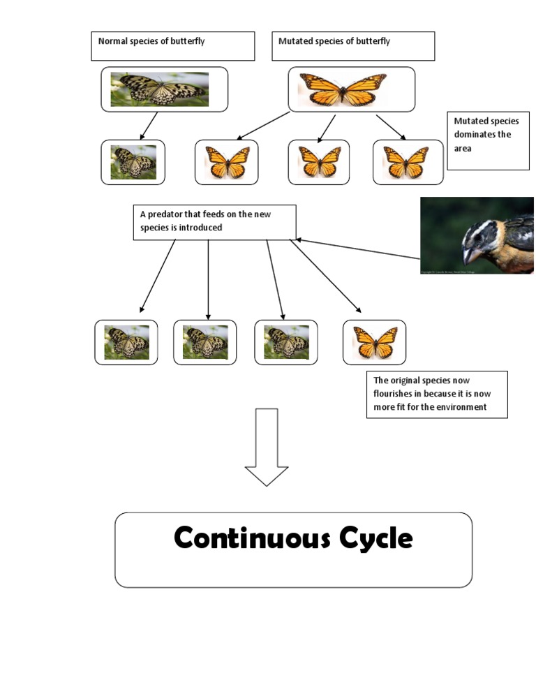 Ideal Form | PDF