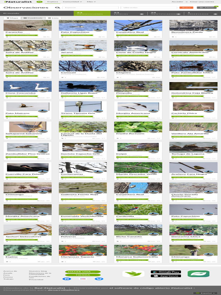 Observaciones Inaturalist | PDF | Aves