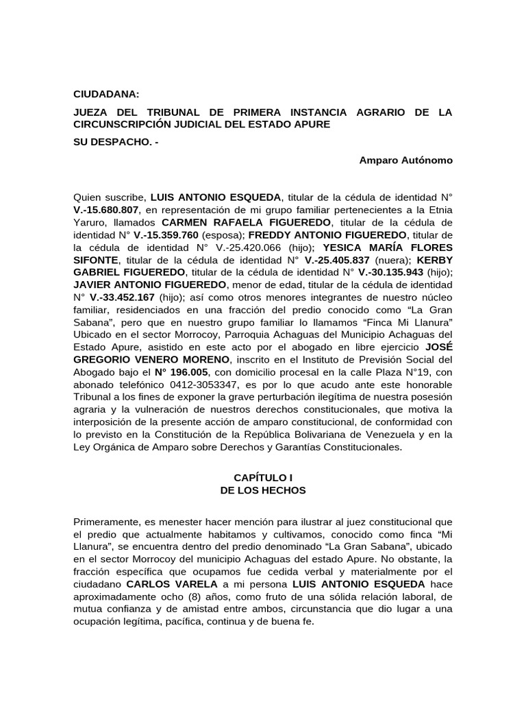 Amparo Constitucional Luis Esqueda | PDF | Derecho Constitucional | Debido al proceso