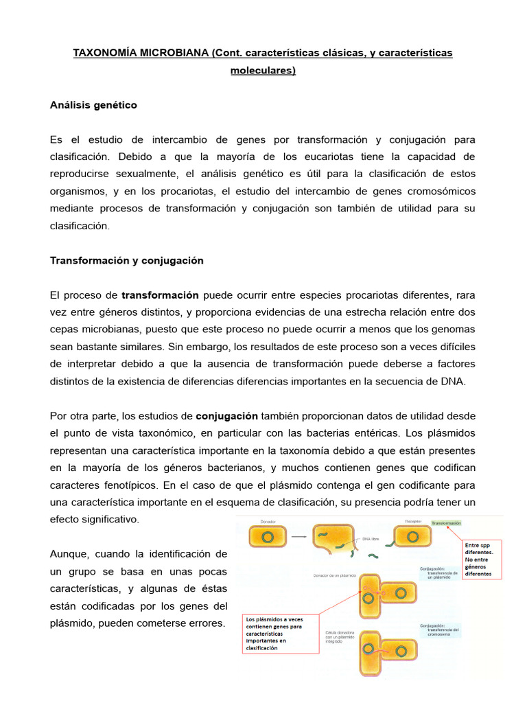 Resumen Micro Parte 8 | PDF | Gene | Adn