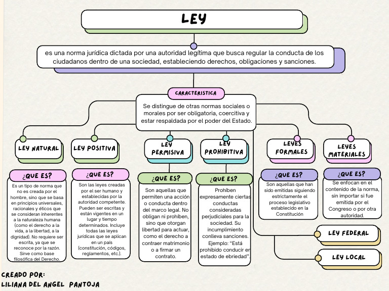 Mapa Conceptual de Leyes y Normas | PDF | Estatuto | Justicia