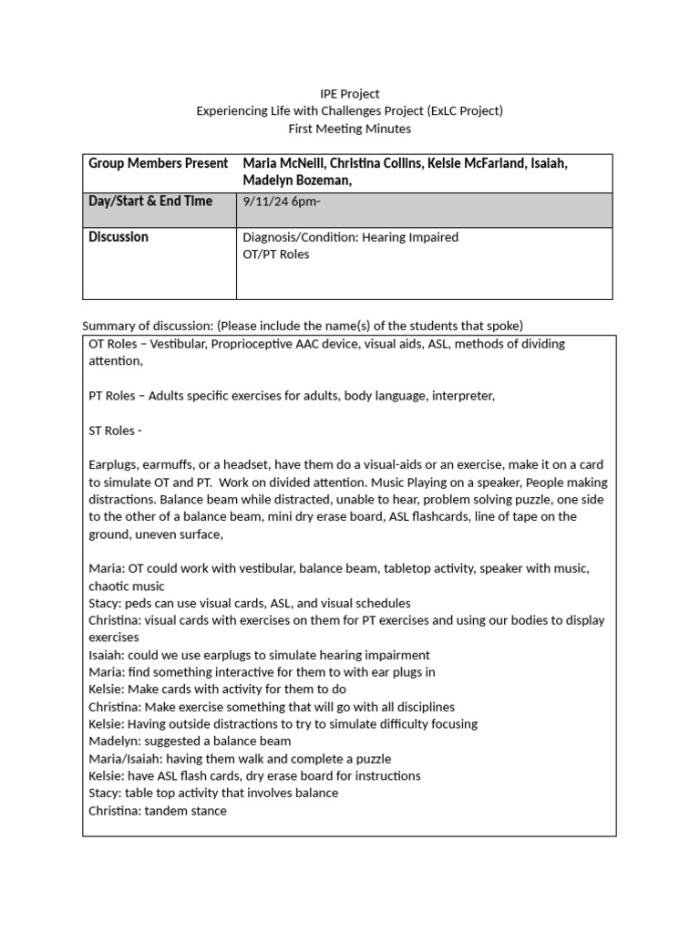 First Meeting Minutes | PDF