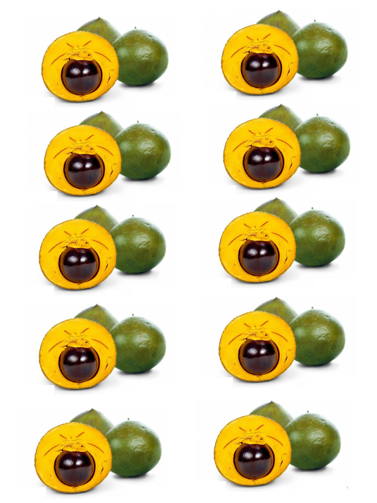 LUCUMA | PDF