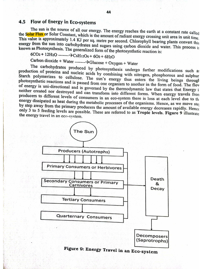 Energy Flow in Eco System | PDF