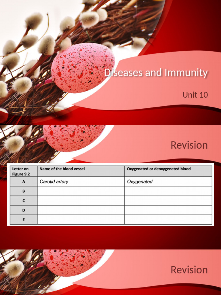 Diseases, Immunity, and Pathogens Explained | PDF | Immune System ...