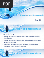 Excretion and Homeostasis Form2 | PDF | Kidney | Homeostasis