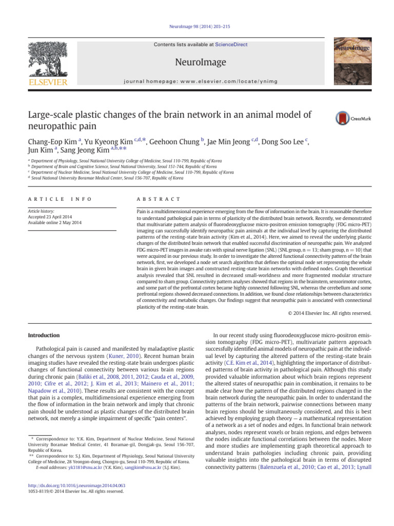 Large-Scale Plastic Changes of Brain Networks in Animal Models of ...