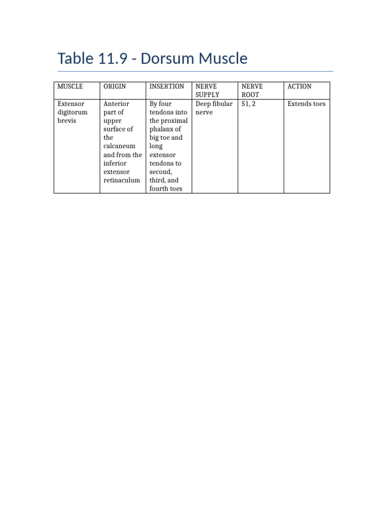 Dorsum Muscle Tabular | PDF