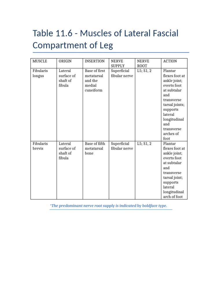Lateral Compartment Leg Muscles Overview | PDF | Foot | Soft Tissue