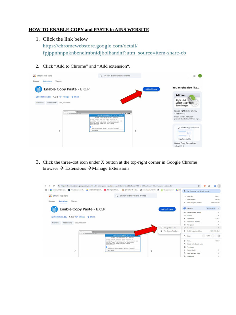 Enable Copy & Paste in AINS System | PDF