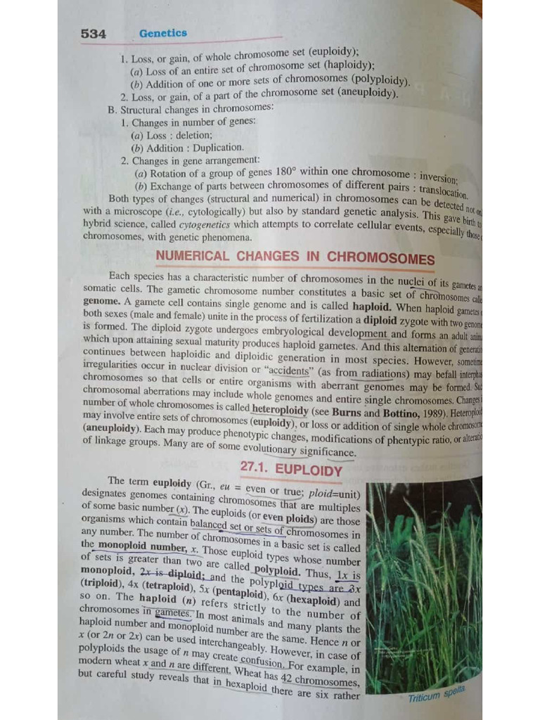 Aneuploidy and Euploidy | PDF