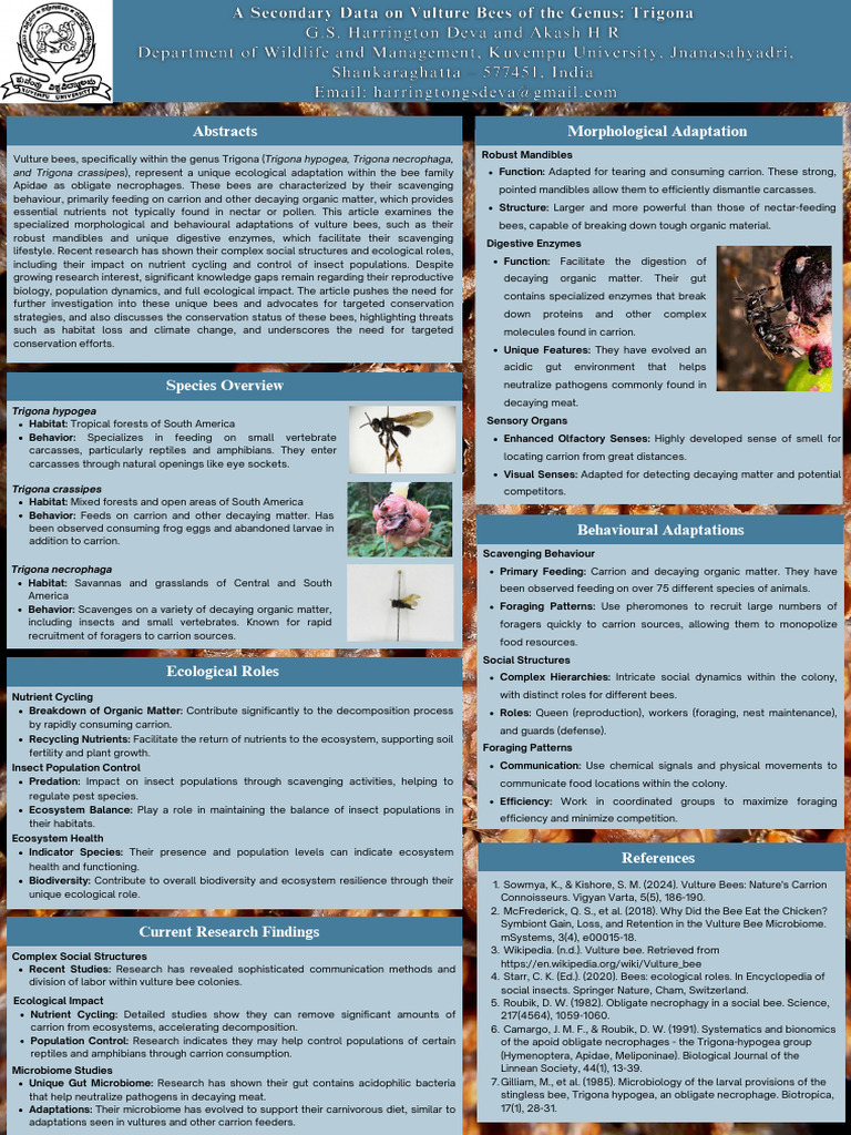 Vulture Bees Poster Presentation | PDF | Bees | Foraging