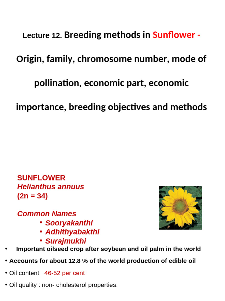 Sunflower Breeding Methods Overview | PDF | Flowers | Plant Reproduction