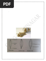 Flavonoid Detection Tests in Pharmacognosy | PDF | Flavonoid | Chemical ...