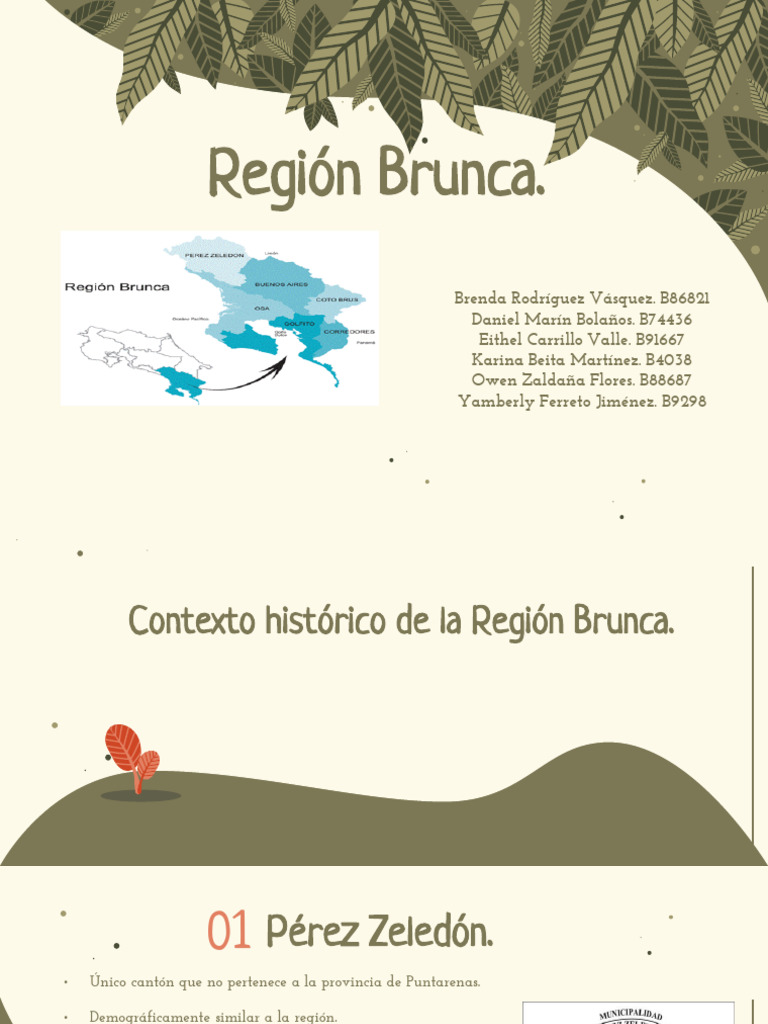 Características y límites de la región Brunca | PDF | Costa Rica