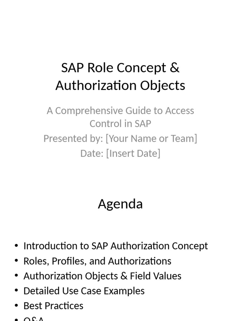SAP Role Concept Updated Deck | PDF | Computing | Information Technology