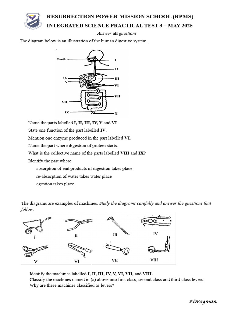 Practical Test 3 (May 2025) | PDF | Chemical Substances | Iron