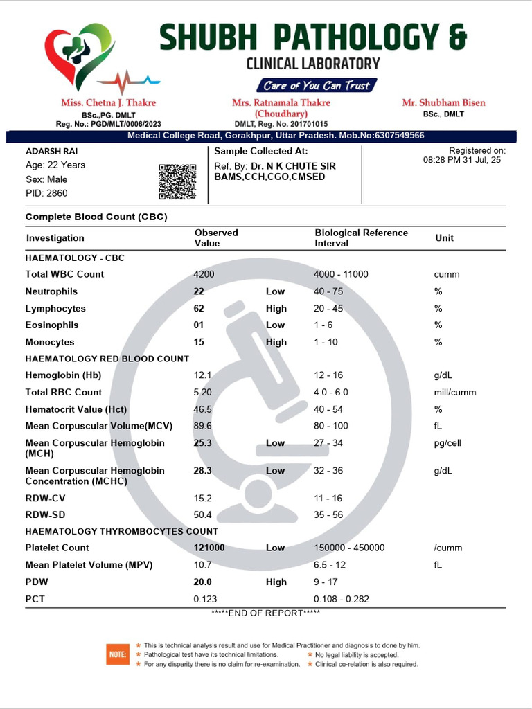 Widal Test and CBC Report Summary | PDF | Salmonella | Tissue (Biology)