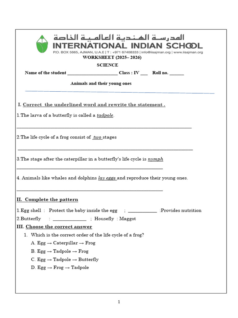 Animals and Their Young Ones-Worksheet | PDF | Egg | Frog