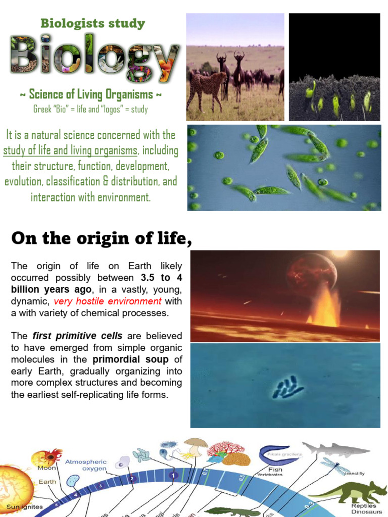 Lesson 1.1 - Characteristics of Life | PDF | Life | Reproduction