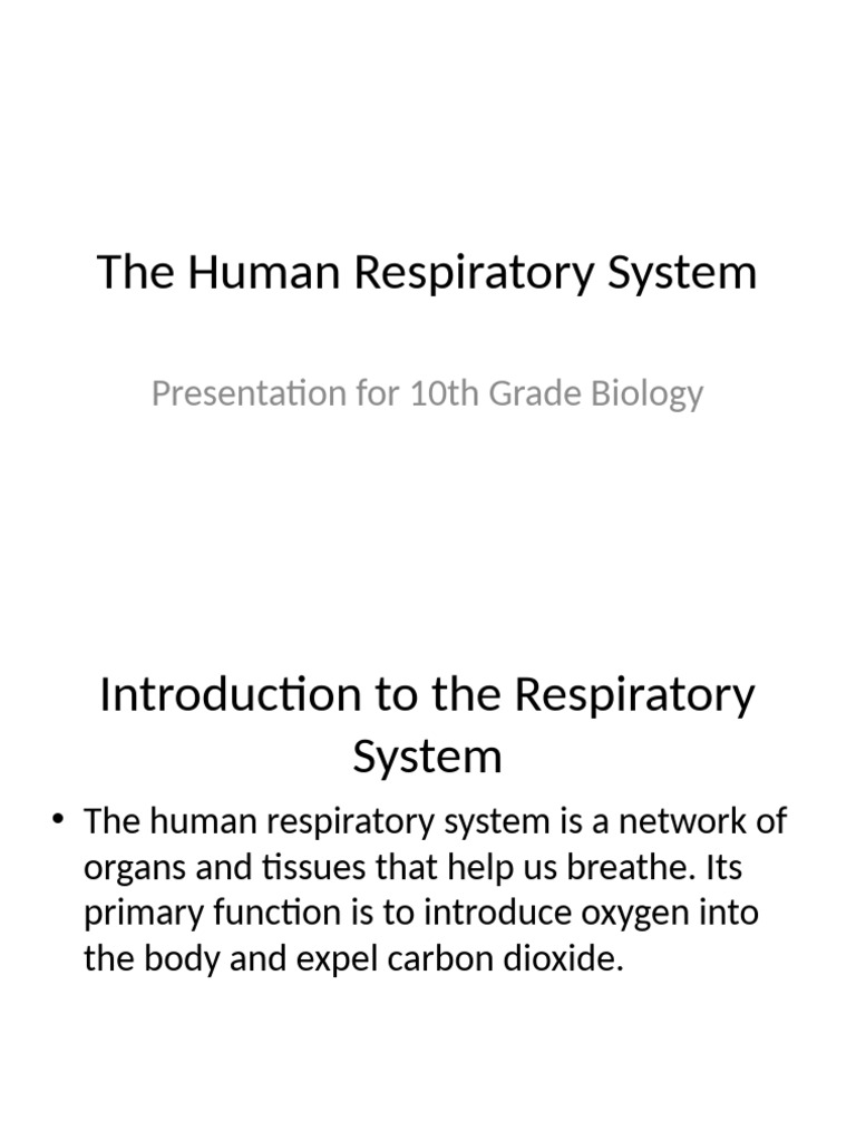 Respiratory System Presentation | PDF