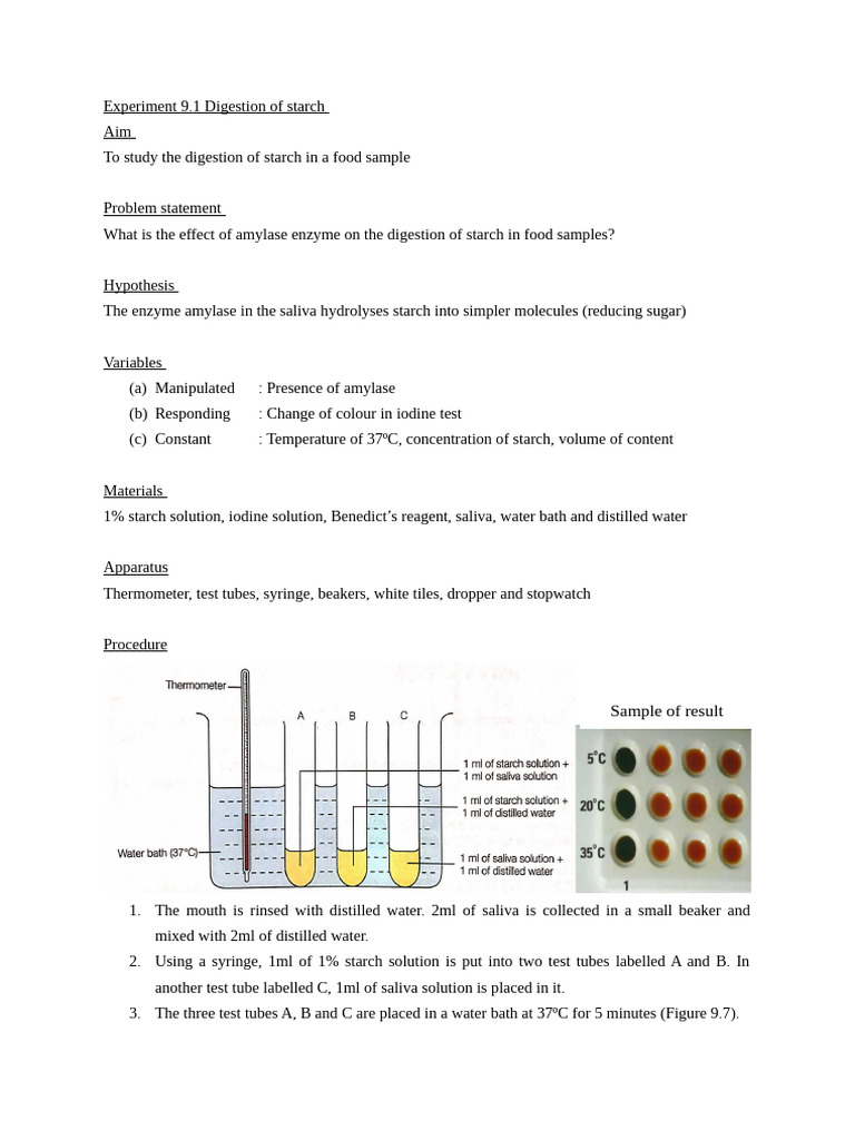 Amylase Action on Starch Experiment | PDF | Saliva | Starch