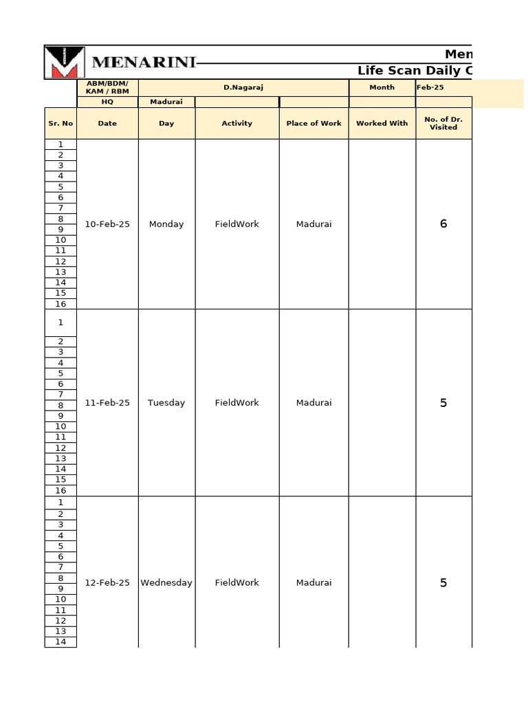 Daily Call Report for BDM Activities | PDF