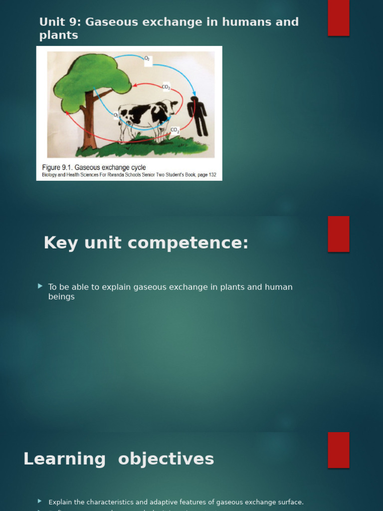 Unit 9 | PDF