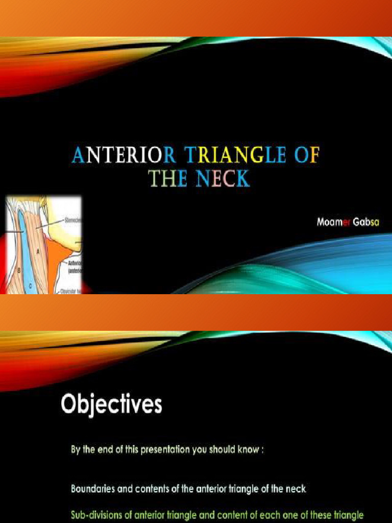 Anterior Triangle of Neck | PDF